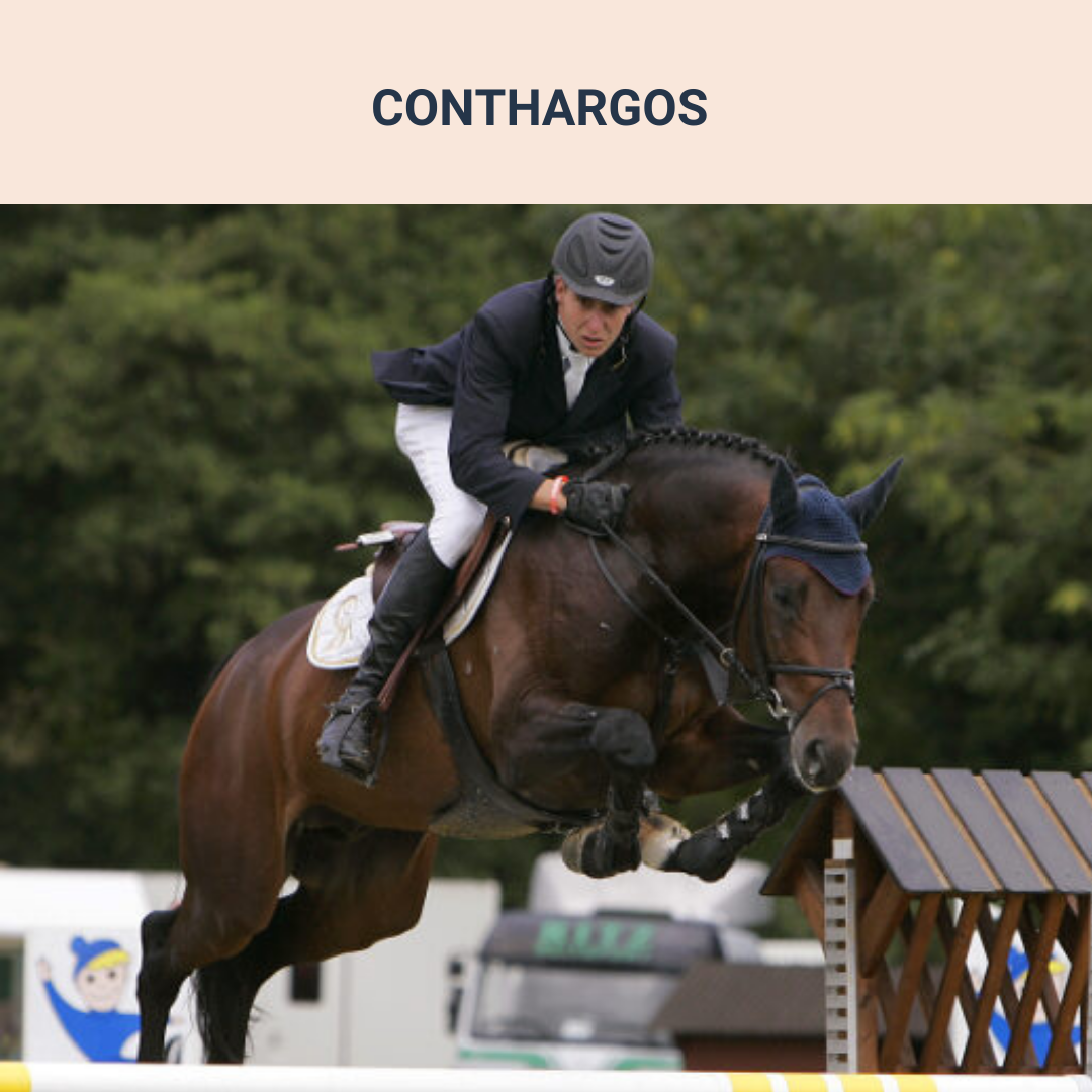 EMBRYON : UNGUESSABLE VON AXE X CONTHARGOS - ELVO'S FOAL FESTIVAL ...